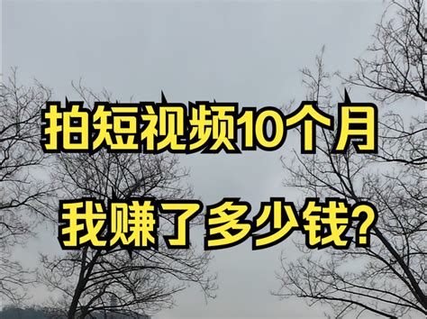 2023年，拍短视频10个月，我赚了多少钱？ 户晨风 户晨风 哔哩哔哩视频