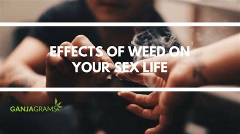 Effects Of Weed On Your Sex Life Ganjagrams