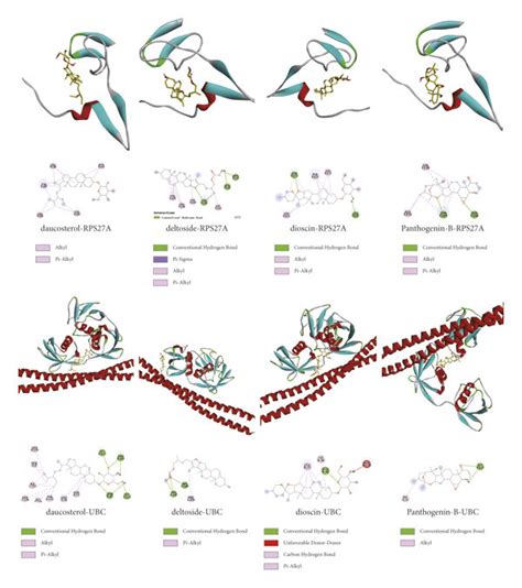 The Binding Mode Diagram Of Daucosterol Deltoside Dioscin