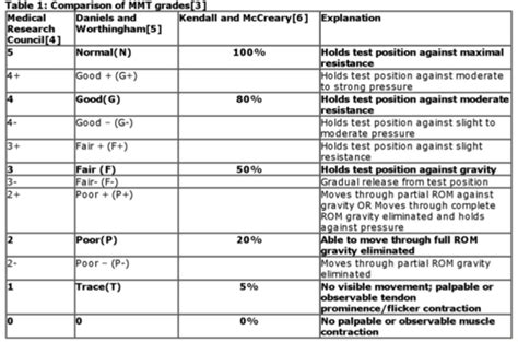 Improve Strength Flashcards Quizlet