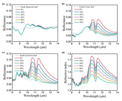 中国科大揭示植物叶片热红外特征形成机理 中国科大新闻网