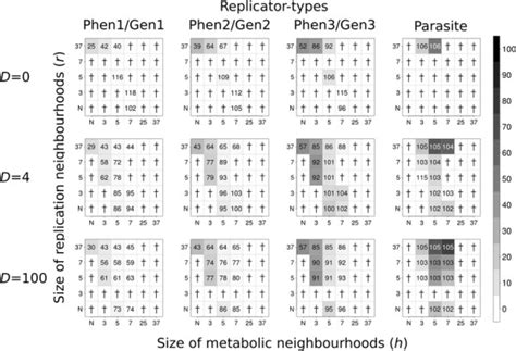 Coexistence Of Metabolic And Parasitic Replicators In Model Ii The Download Scientific Diagram
