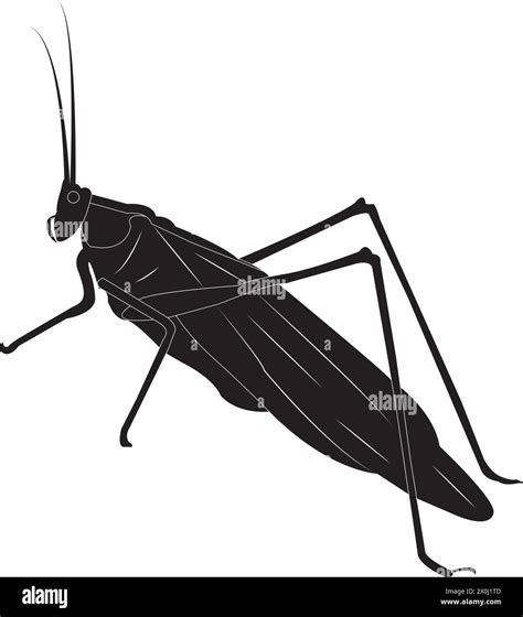 Grasshopper Icon Vector Illustration Simple Design Stock Vector Image And Art Alamy Grasshopper Icon Vector Illustration Simple Design Stock Vector Image And Art Alamy