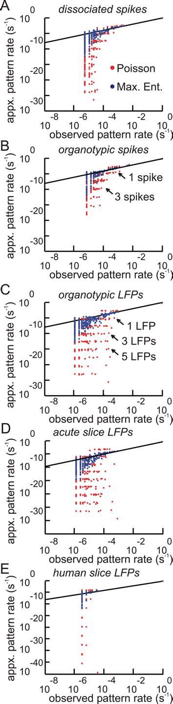 The Maximum Entropy Model Successfully Predicts Correlated States For