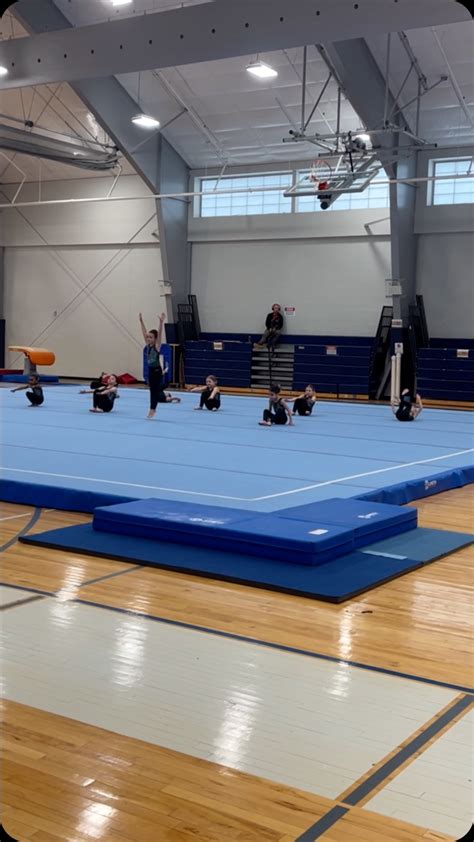Nyce East Gymnastics Team