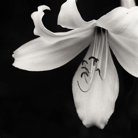 Monochrome Monday Cornwall In Colours