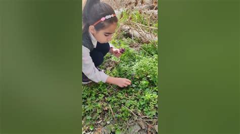 Գարուն աղջիկ Youtube