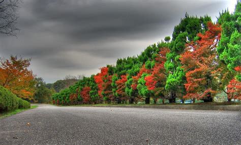 Wallpapers For Ppc Hd Wallpaper Cave