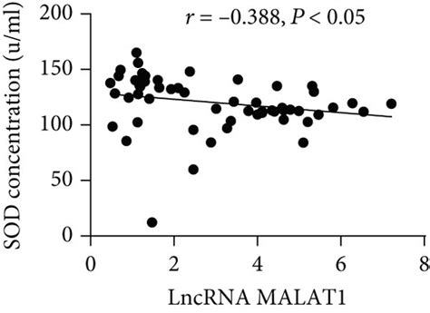 Correlation Analysis Of The Expression Lncrna Malat1 With The