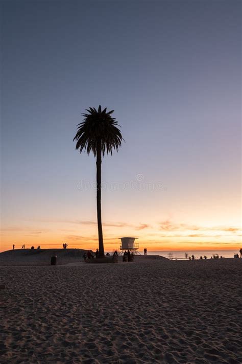 Moonlight Beach Encinitas California Silhouette Of Palm Tree And Beachgoers At Sunset Stock