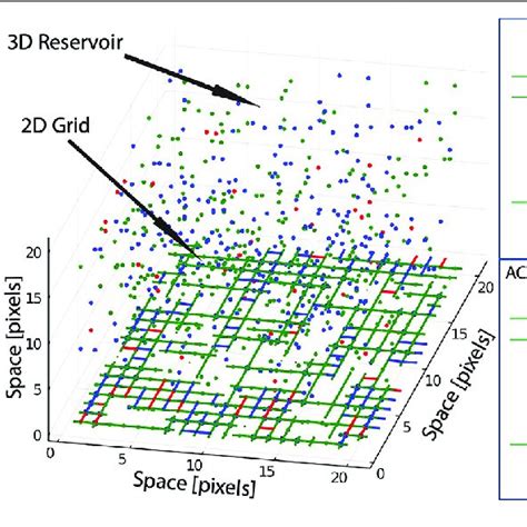 Scheme Of The Coarse Grained Framework The Model Is Composed Of A Download Scientific