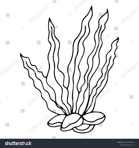 Plantilla De Coral De Contorno Simple Vector De Stock Libre De Regalías 2144798529 Shutterstock