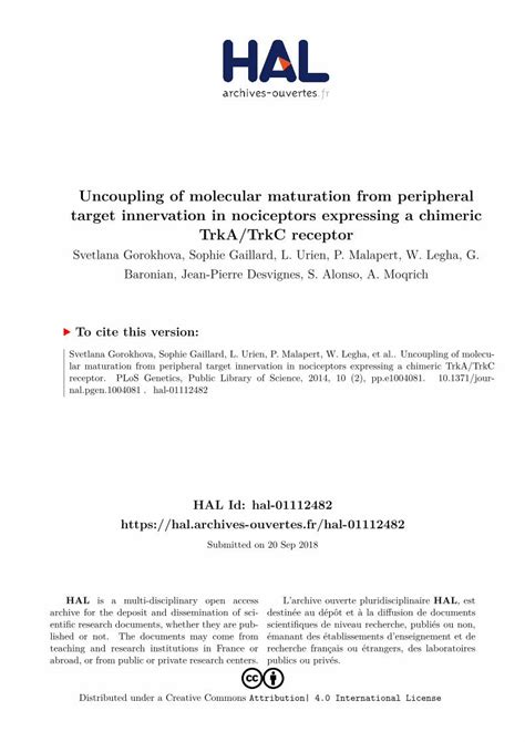 PDF Uncoupling Of Molecular Maturation From Peripheral Target DOKUMEN TIPS