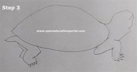 How To Draw A Tortoise Guide With Image Step By Step