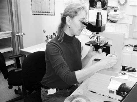 Thermal Mark Reveals The Secret Life Of Salmon Ha Shilth Sa Newspaper