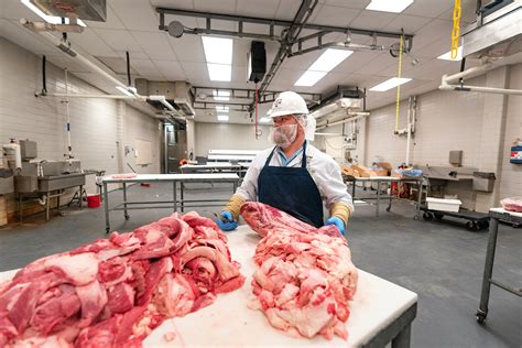 Beef Quality Assurance Program Texas Aandm Agrilife Extension Service