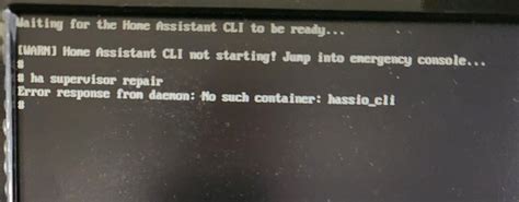 Home Assistant Cli Not Starting Jump Into Emergency Console Home Assistant Green Installation