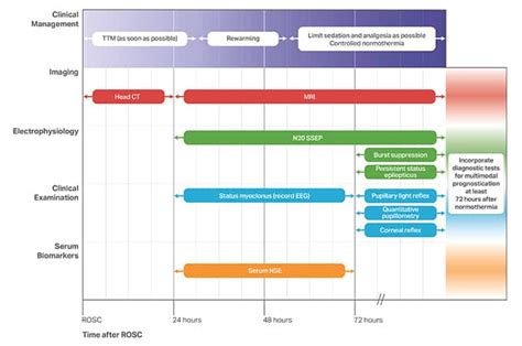 RCP Paziente Adulto Principali Modifiche Nellalgoritmo
