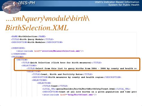 Ppt Developing An Ibis Q Query Module Powerpoint Presentation Free