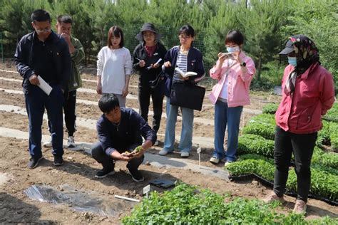 玉泉区：农技专家人才走进田间地头助力乡村振兴澎湃号·政务澎湃新闻 The Paper