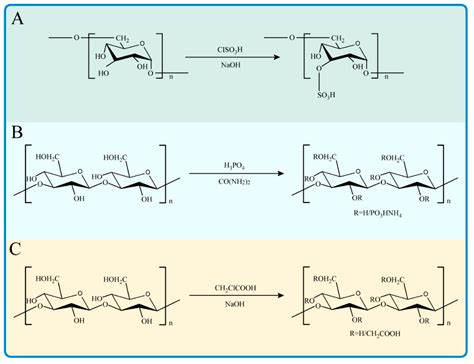 Antioxidant Activities Of Natural Polysaccharides And Their Derivatives Encyclopedia Mdpi