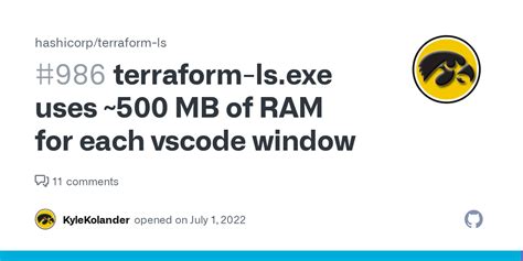 Terraform Lsexe Uses ~500 Mb Of Ram For Each Vscode Window · Issue