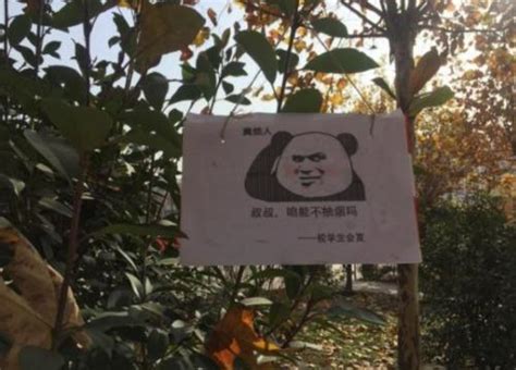 找对象表情包图片 暗示找对象的表情包 随意云