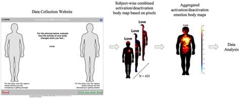 Full Article Emotion Specificity Coherence And Cultural Variation In