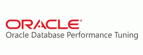 Oracle Database Resource Portfolio Performance Oracle Developer DBA