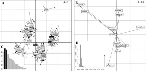 Linear Discriminant Analysis Of The Different Populations And Species Download Scientific