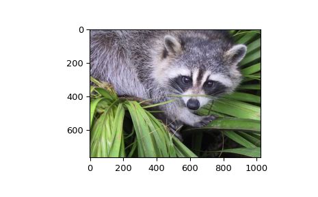 Scipy Misc Face SciPy V1 8 0 Dev0 1869 838cfbe Manual