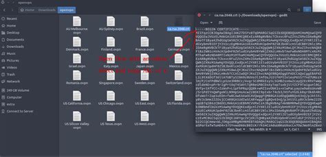 Setting Up An Openvpn Client In Pfsense Networking Level1techs Forums