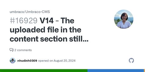 V14 The Uploaded File In The Content Section Still Displays After It Has Been Removed · Issue