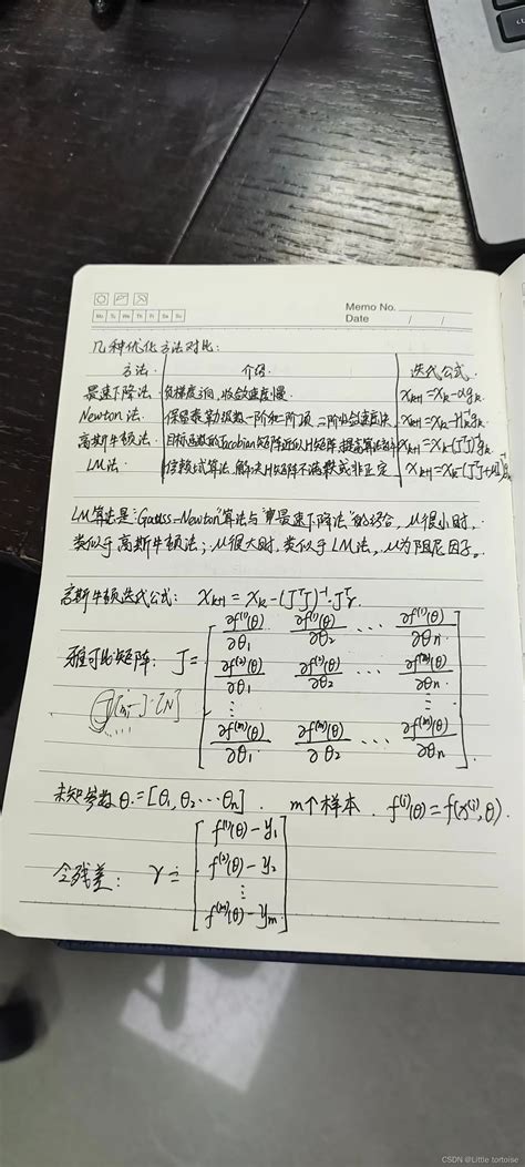 多元优化算法比较：收敛速度与策略 csdn博客