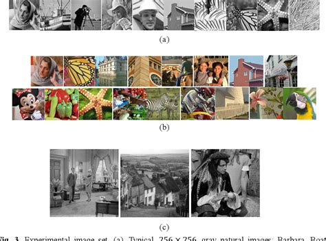 Generalized Rank Minimization Based Group Sparse Coding For Low Level