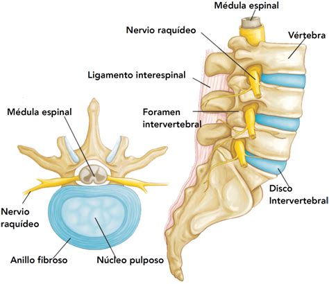 Dolor Lumbar Tmr Buenos Aires