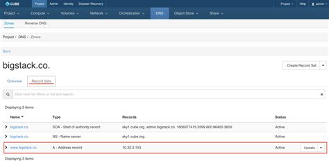 How To Create An A Record Using Dnsaas Bigstack Documentation