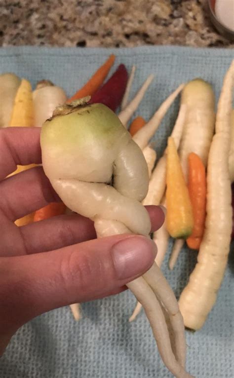 Sex Ay Carrot R Gardening