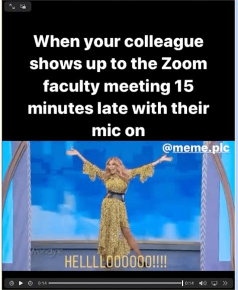30 Memes Do Zoom Mais Engraçados Para Alegrar Sua Próxima Reunião Virtual