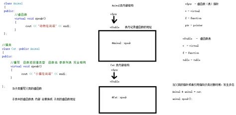 C类与对象 7 特性三：多态 Ew帮帮网