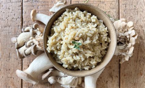 Porcini Mushroom Risotto Finch Fennel