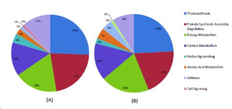 28 Pie Chart Showing Different Functional Categories Among Identified