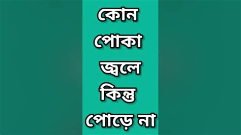 চ্যালেঞ্জিং ধাঁধা নাম্বার ১৩ Shorts Youtube