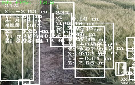 Real Time Depth Sensing Of Wheat In The Field Download Scientific Diagram