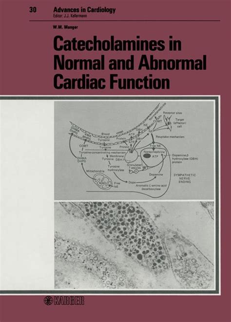 Ii Catecholamine Metabolism Biosynthesis Storage Release And