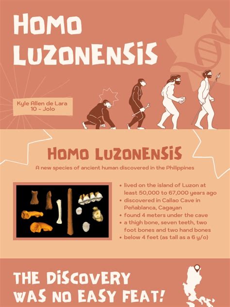 Discovery Of Homo Luzonensis In Philippines Pdf Social Science
