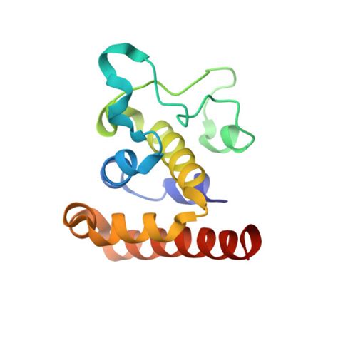 Rcsb Pdb 4zds Crystal Structure Of Core Dna Binding Domain Of