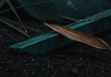 Marine Debris Mitigation → Fundamentals