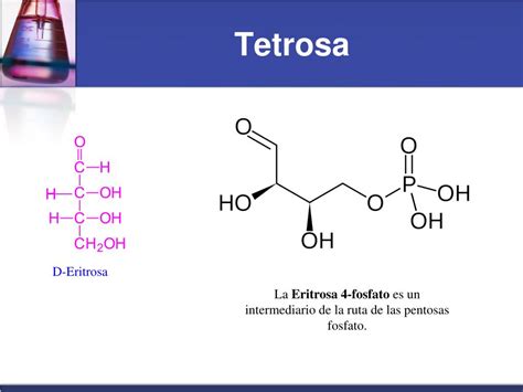 Ppt Unidad Iv Química De Carbohidratos Powerpoint Presentation Free Download Id 4896132