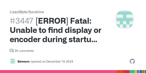 Error Fatal Unable To Find Display Or Encoder During Startup Windows 24h2 · Issue 3447